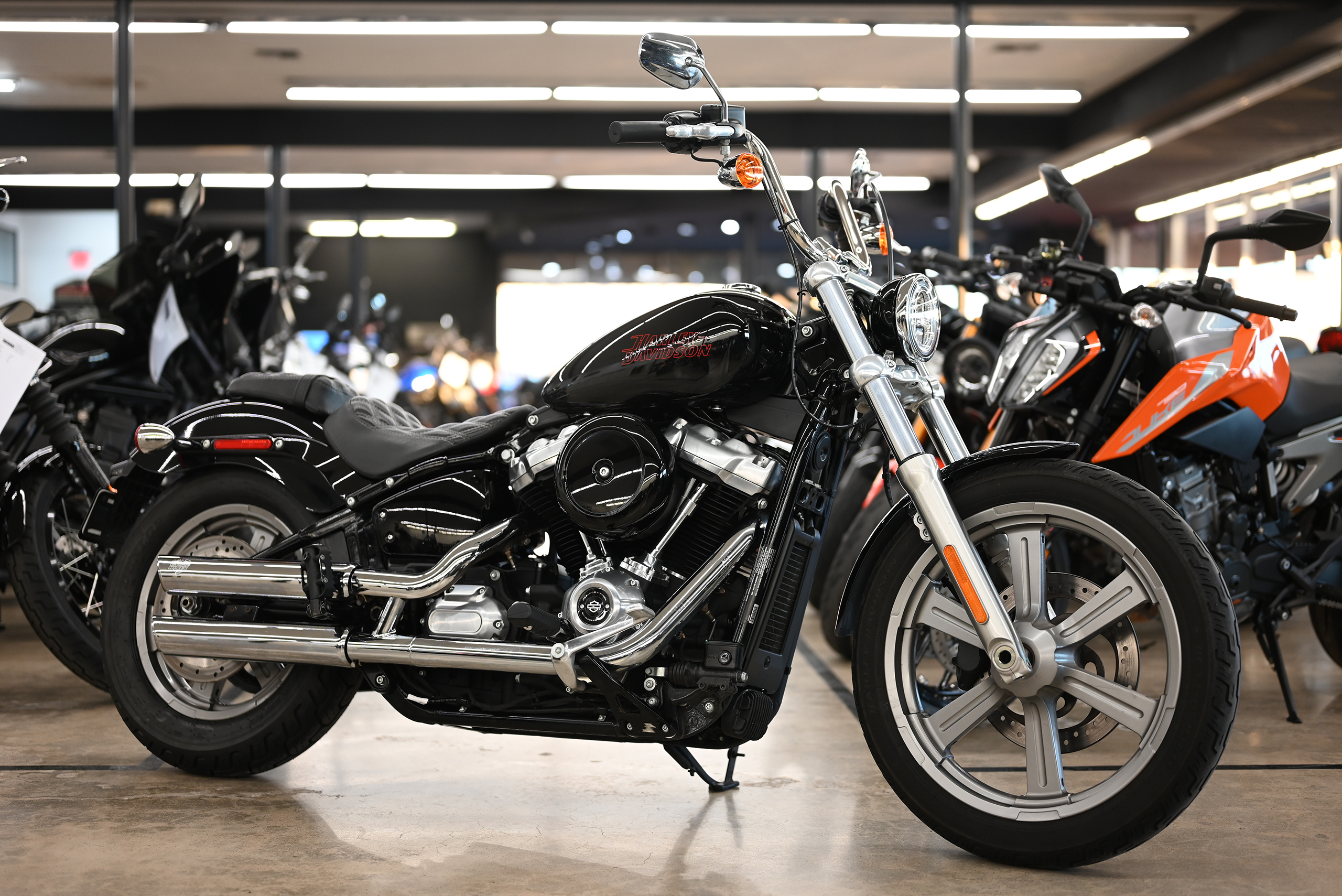 2024 Harley Davidson Softail Standard - Onyx Moto